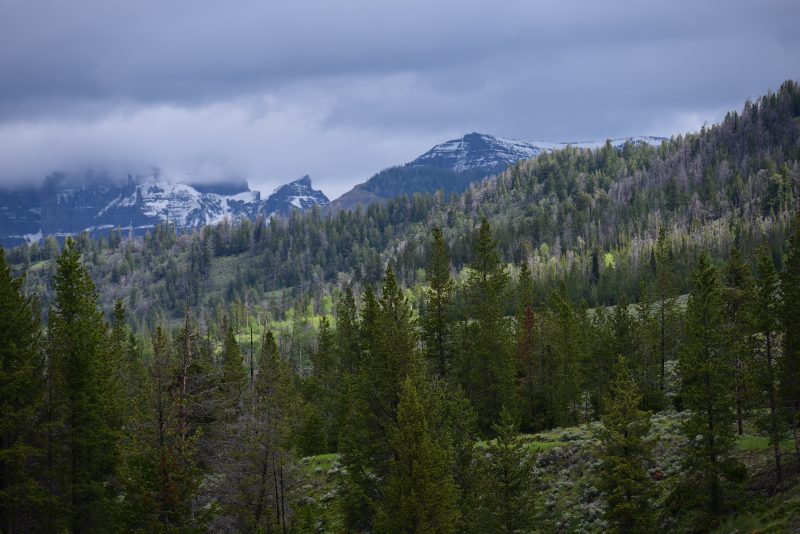 Triangle C Ranch - Live Water Properties - Ranches for Sale in Wyoming ...