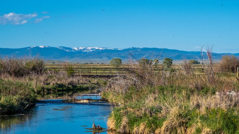 Bird Cloud Ranch - Live Water Properties - Ranches for Sale in Wyoming ...