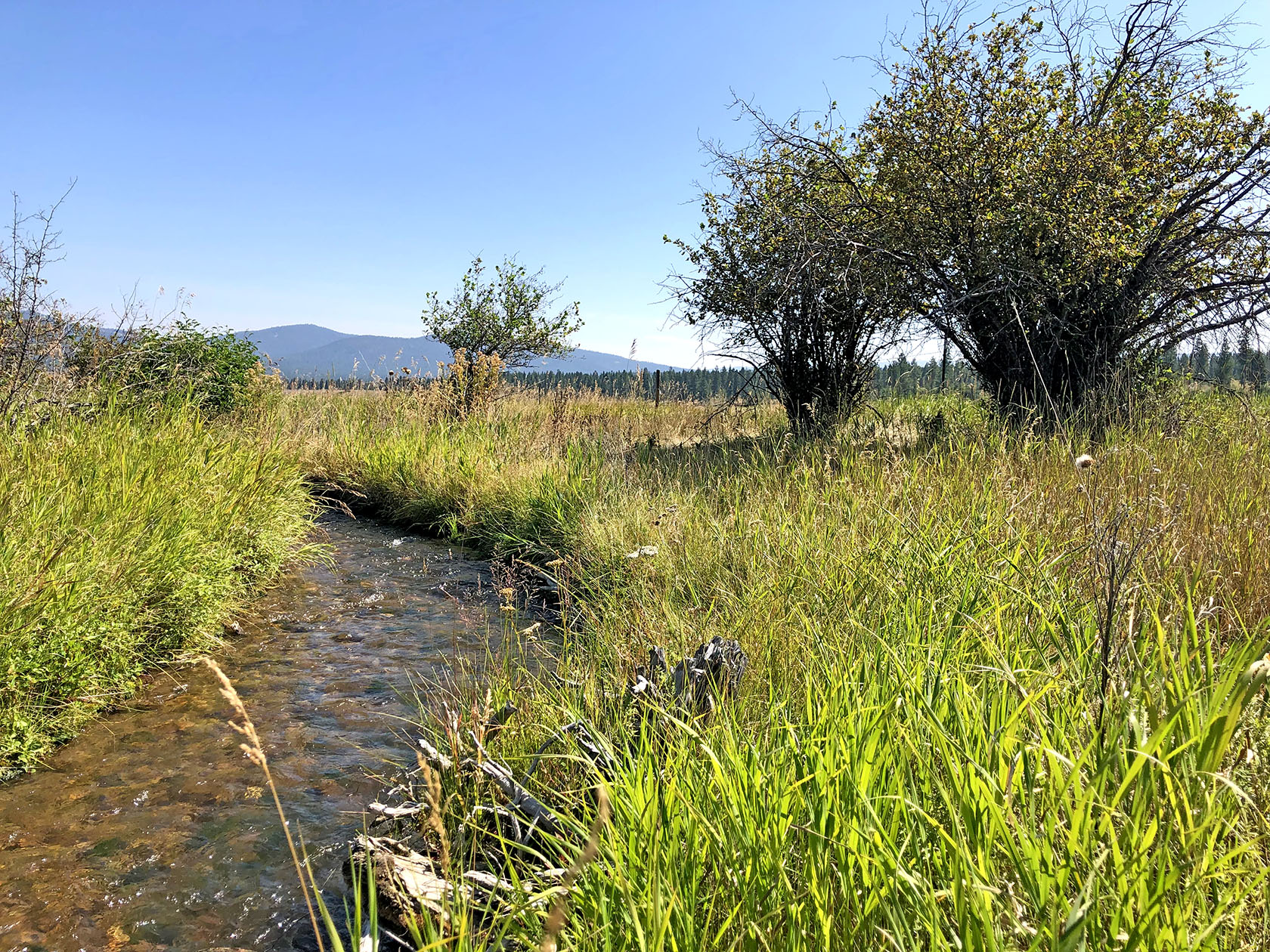 Hayes Ranch - Live Water Properties - Ranches for Sale in Montana