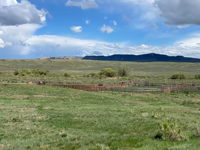 MM Ranches - Live Water Properties - Ranches for Sale in Wyoming