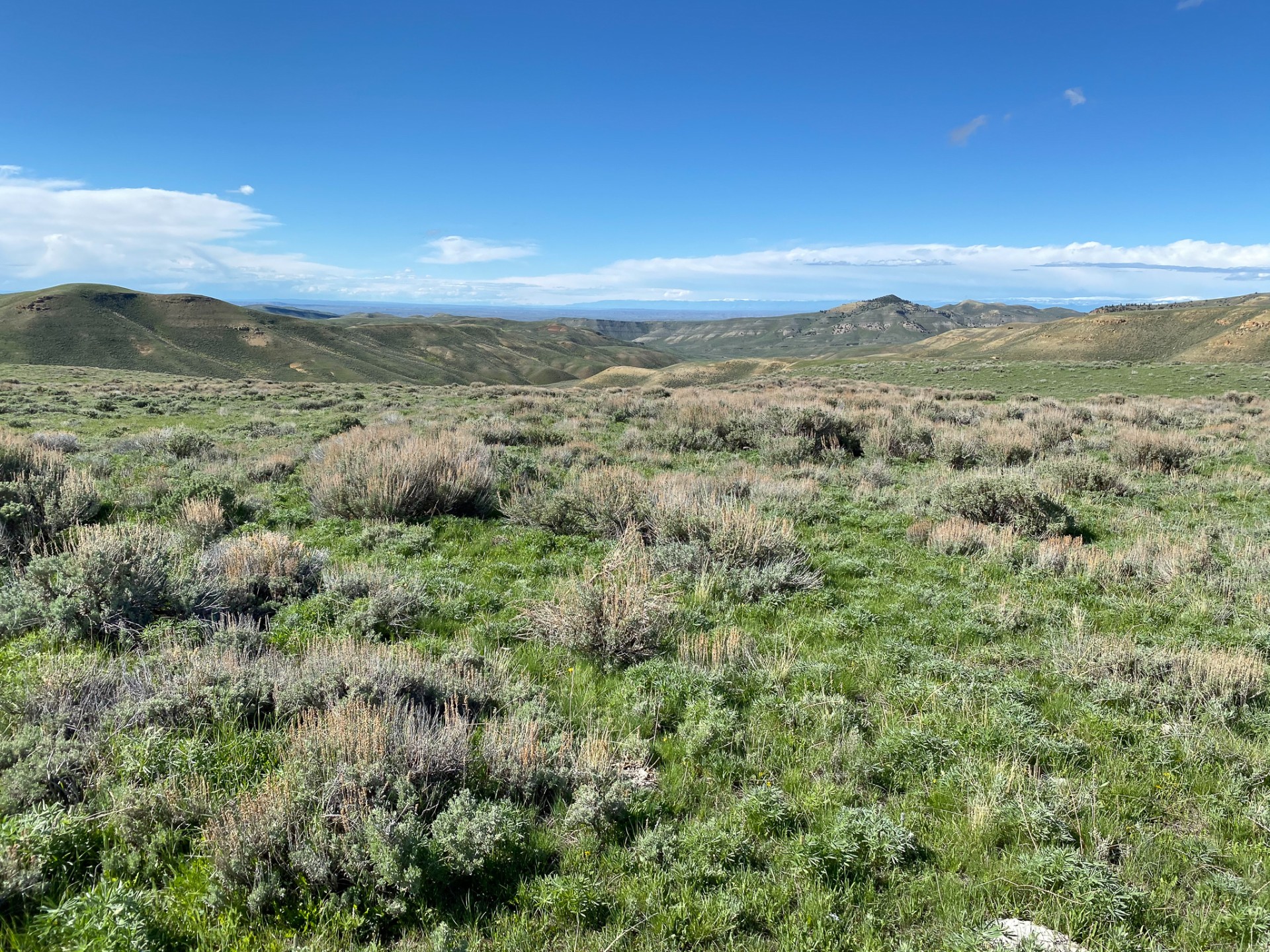 MM Ranches - Live Water Properties - Ranches for Sale in Wyoming