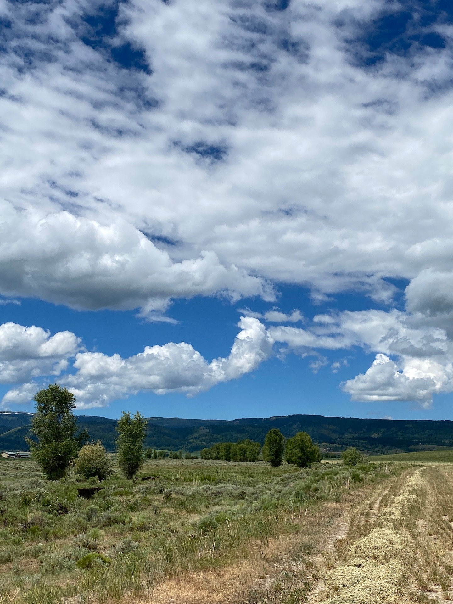 Packsaddle Creek Ranch - Live Water Properties - Ranches for Sale in ...