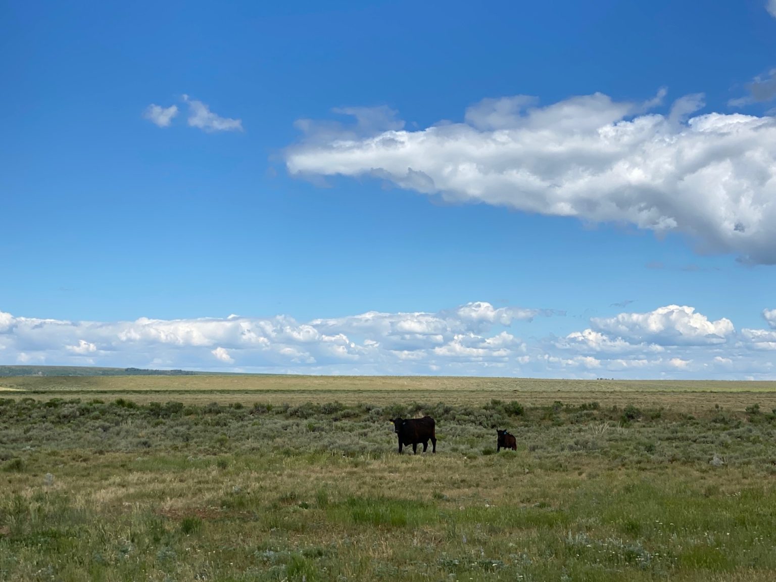 Packsaddle Creek Ranch - Live Water Properties - Ranches for Sale in ...