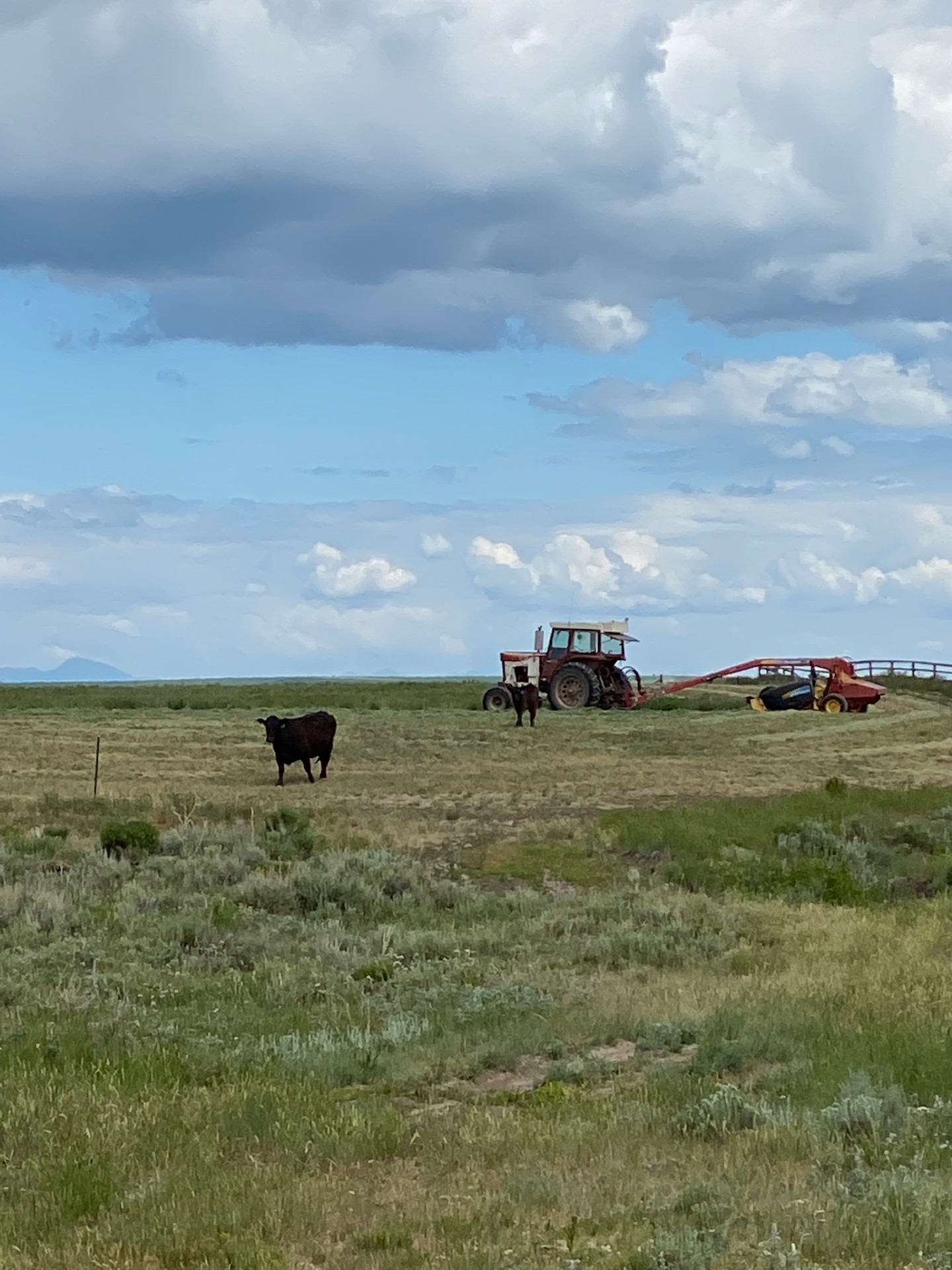 Packsaddle Creek Ranch - Live Water Properties - Ranches for Sale in ...