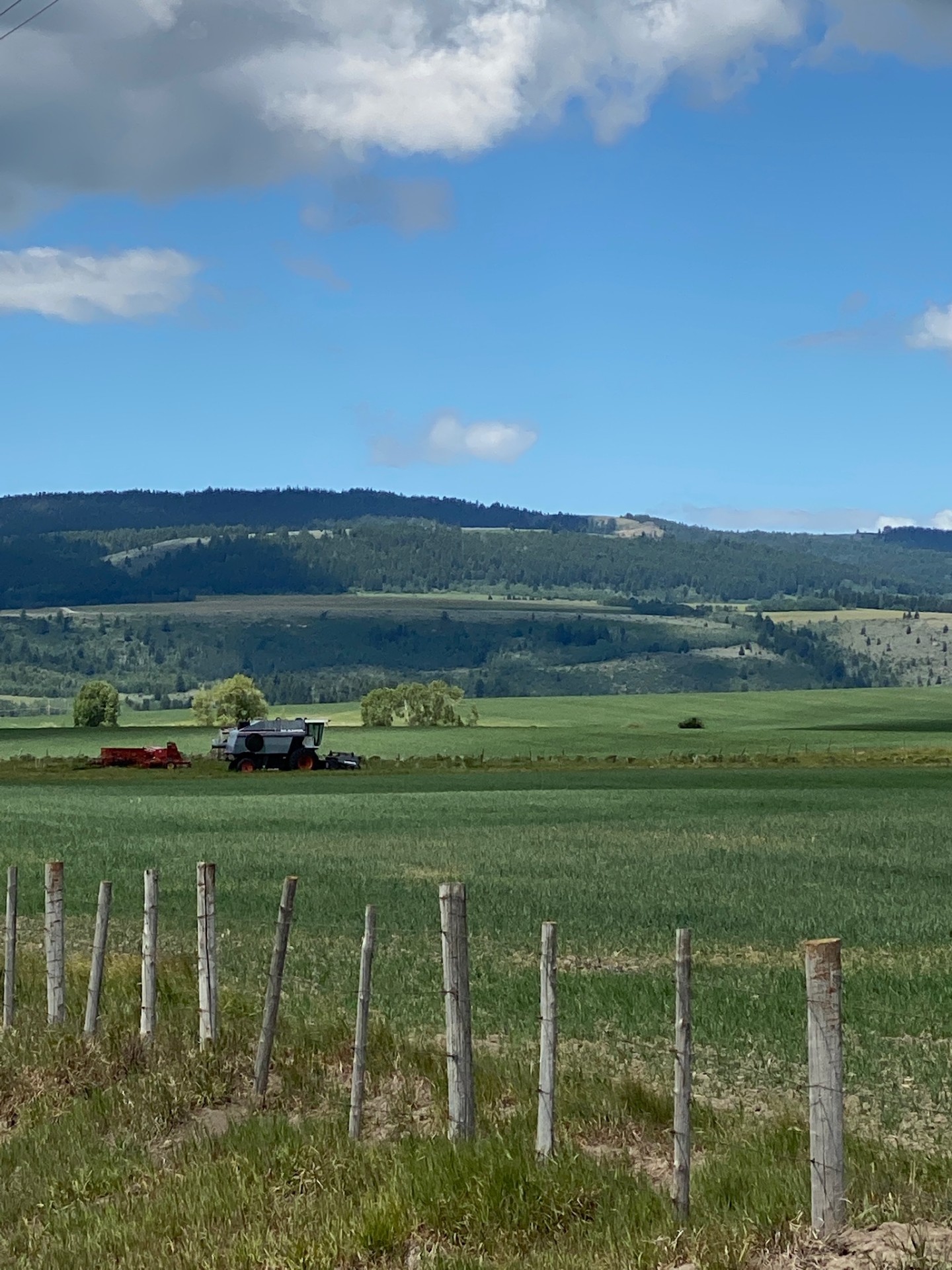 Packsaddle Creek Ranch - Live Water Properties - Ranches for Sale in ...