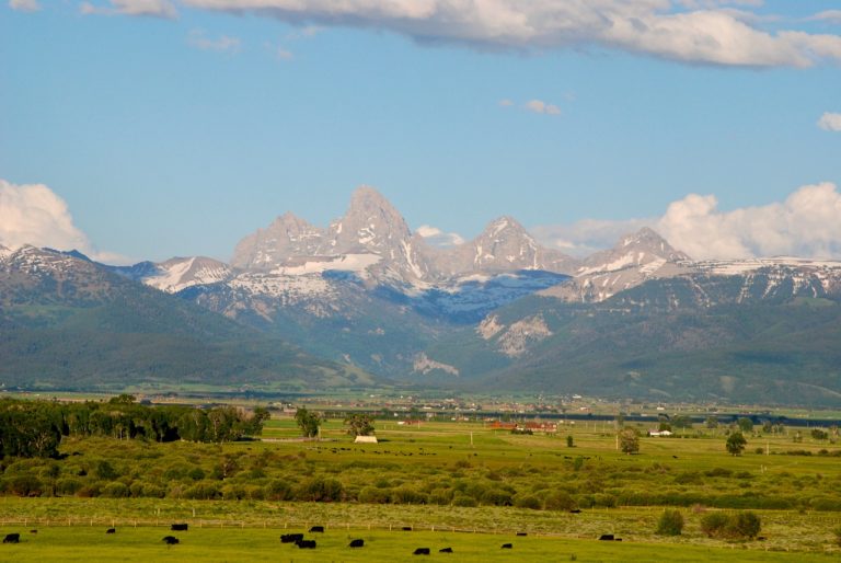 Packsaddle Creek Ranch - Live Water Properties - Ranches for Sale in ...