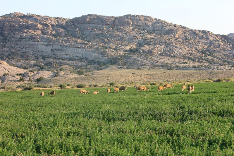 Split Rock Ranch - Live Water Properties - Ranches for Sale in Wyoming