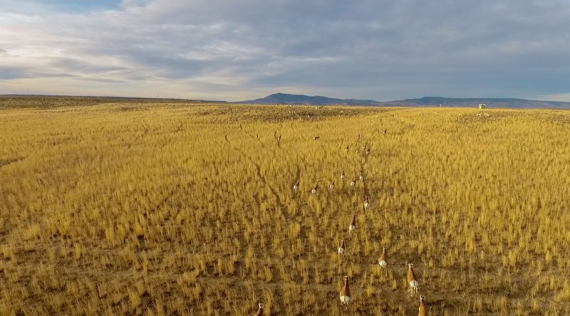 Split Rock Ranch - Live Water Properties - Ranches for Sale in Wyoming