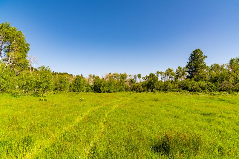 Seven Springs Ranch | Colorado Ranches for Sale | Live Water