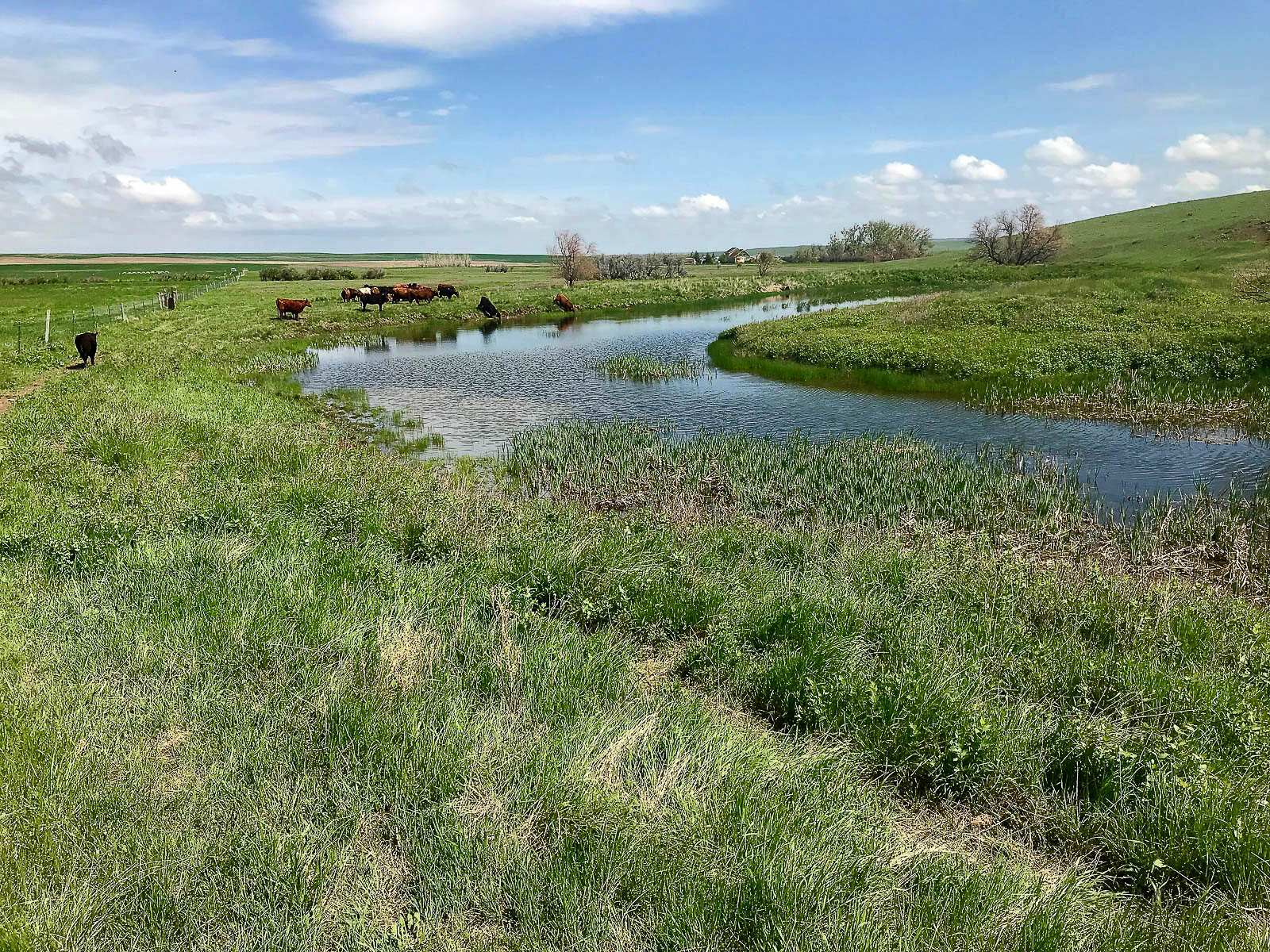 Paradise Valley Ranch - Live Water Properties - Ranches for Sale in Montana