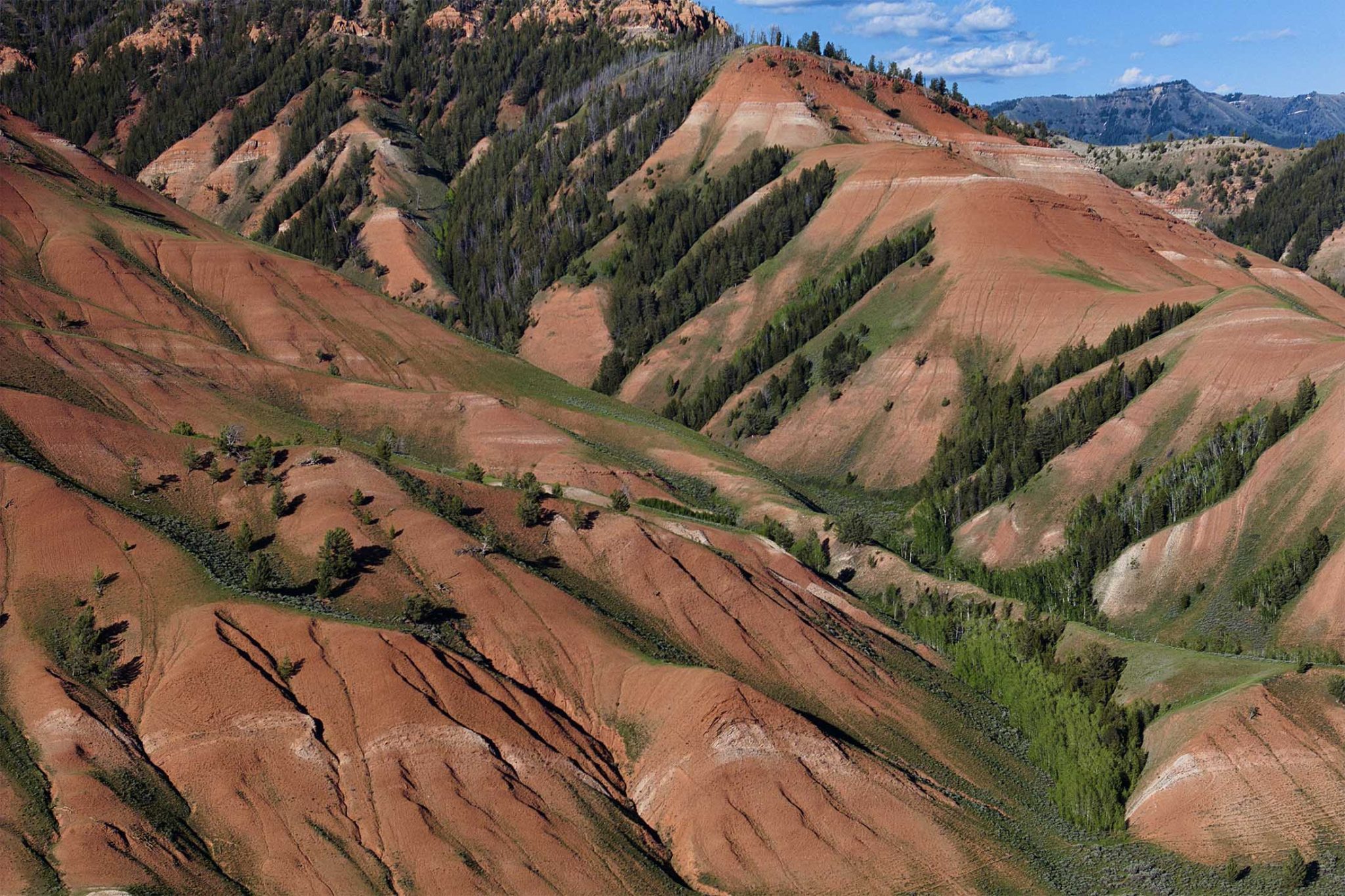 Red Hills Ranch | Jackson Hole Ranch for Sale | Live Water