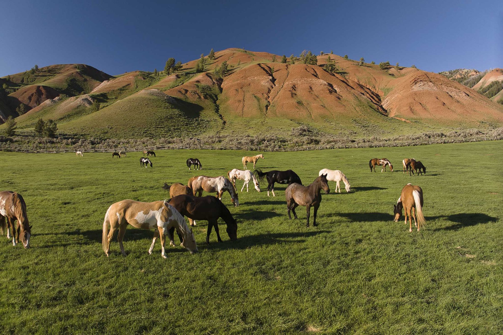 Red Hills Ranch | Jackson Hole Ranch for Sale | Live Water