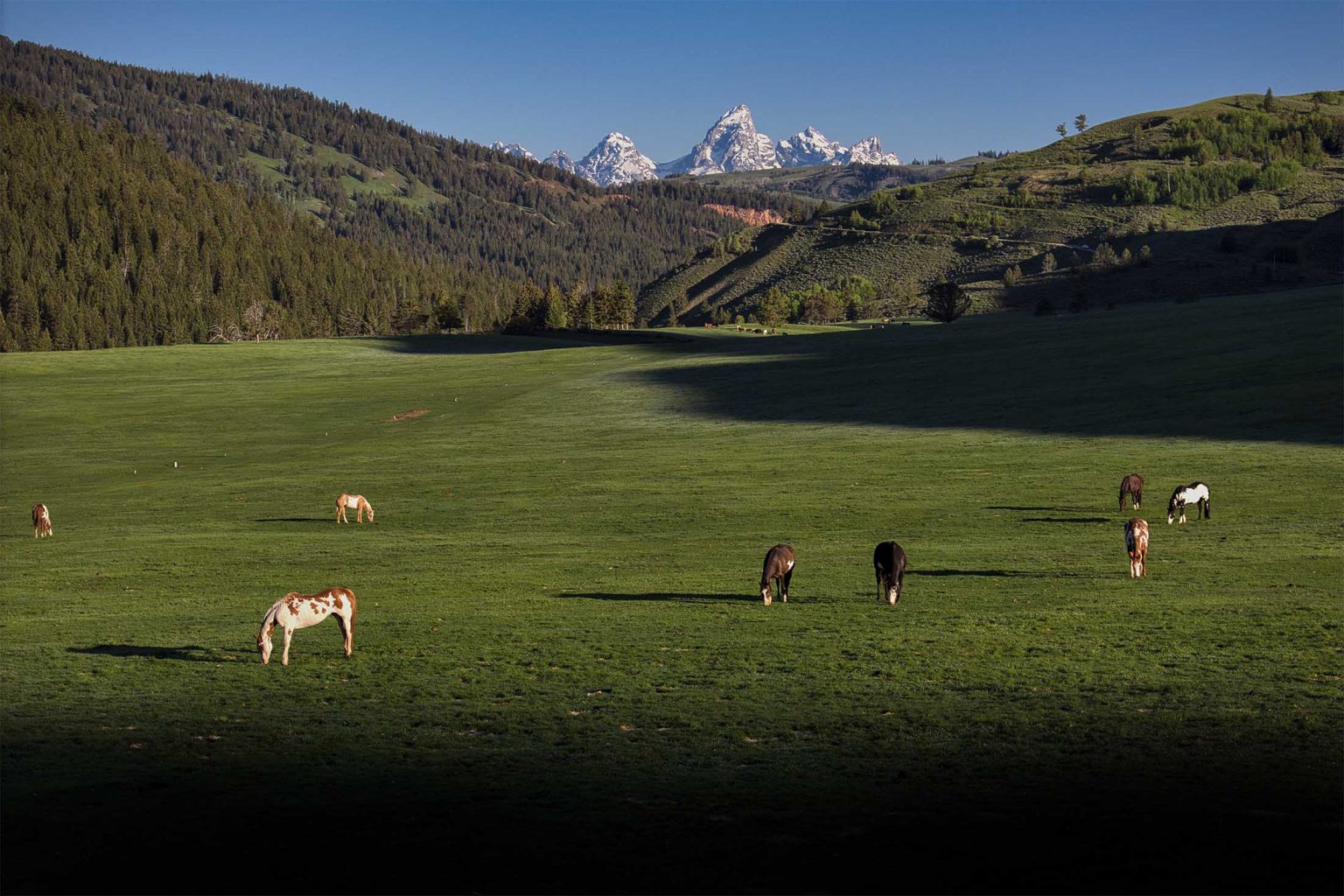 Red Hills Ranch | Jackson Hole Ranch for Sale | Live Water