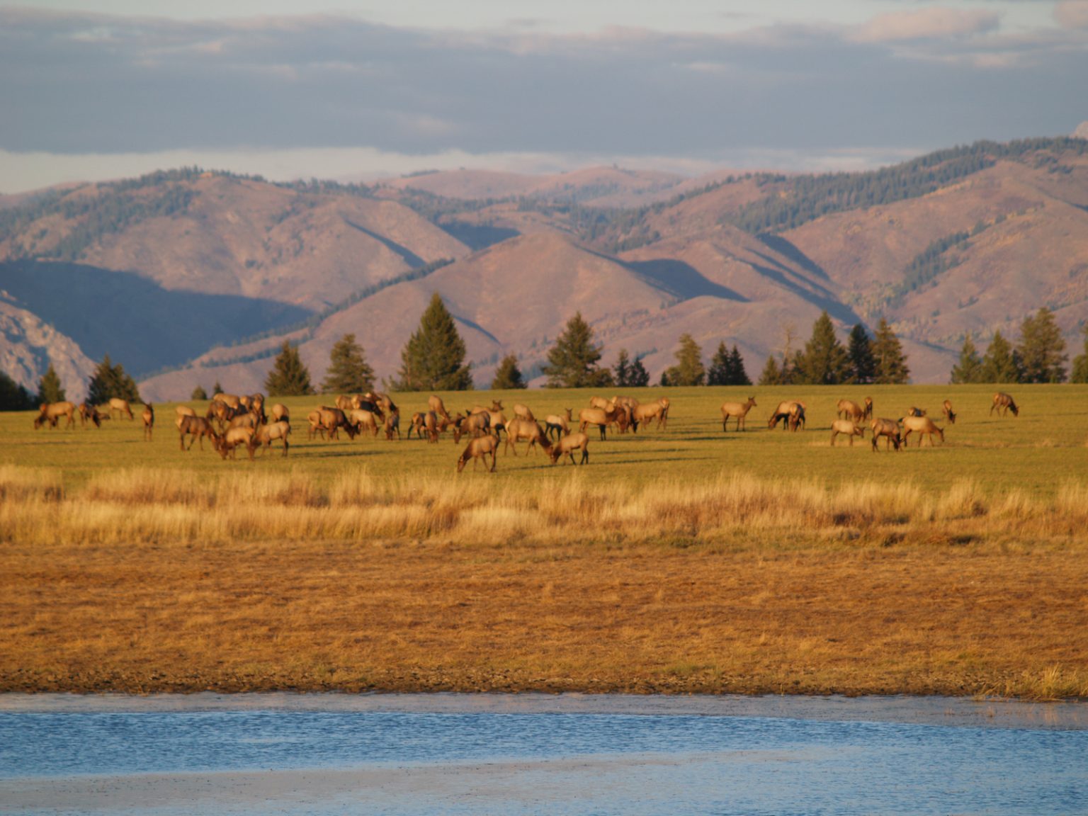 Anderson Ranch - Land & Ranches for Sale in Western & Southeastern ...
