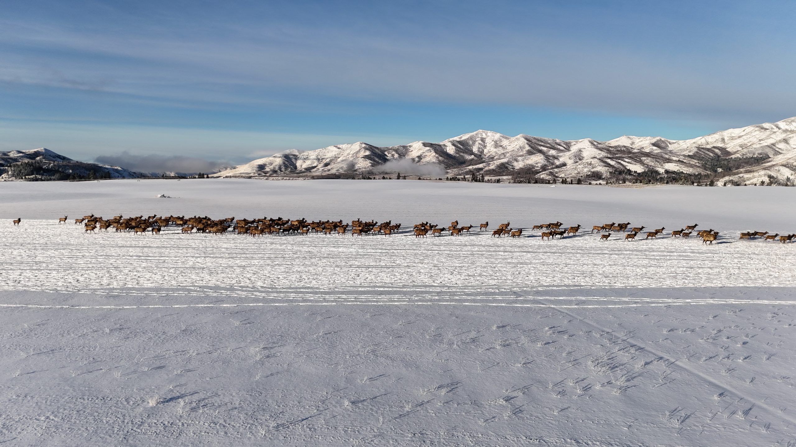 Anderson Ranch - Land & Ranches for Sale in Western & Southeastern ...