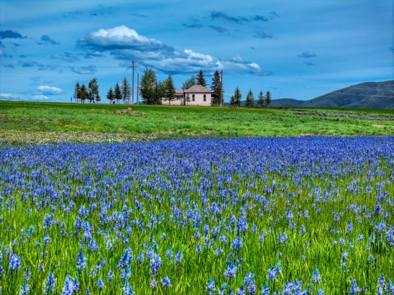 Anderson Ranch - Land & Ranches for Sale in Western & Southeastern ...