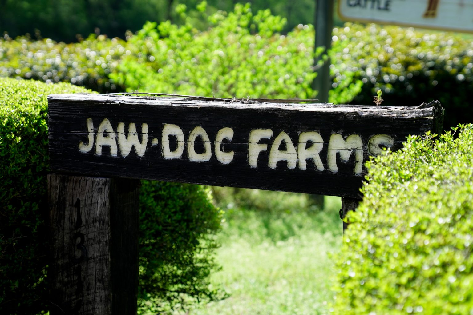 Jaw-Doc Farms | Farm in Georgia for Sale