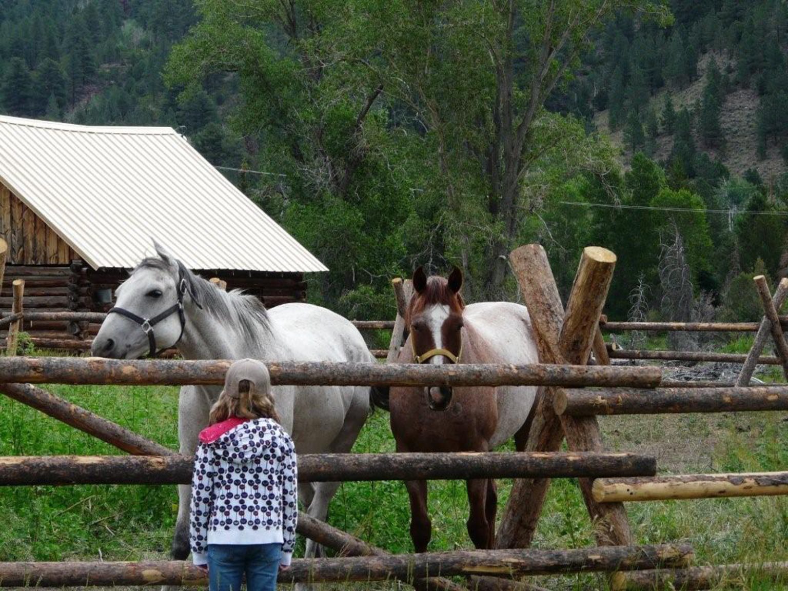 Ranch in Utah for Sale |Crystal Ranch