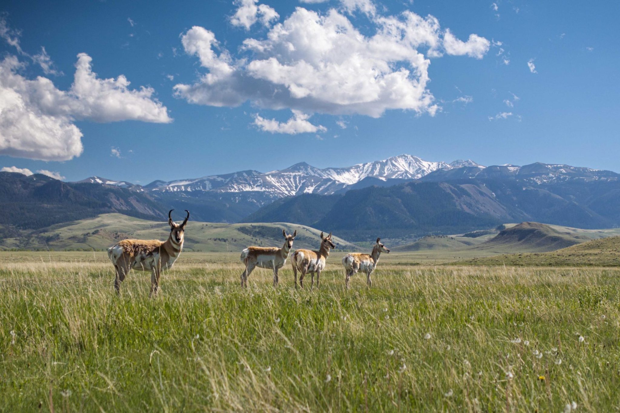 Pitchfork Ranch - Land & Ranches for Sale in Western & Southeastern ...