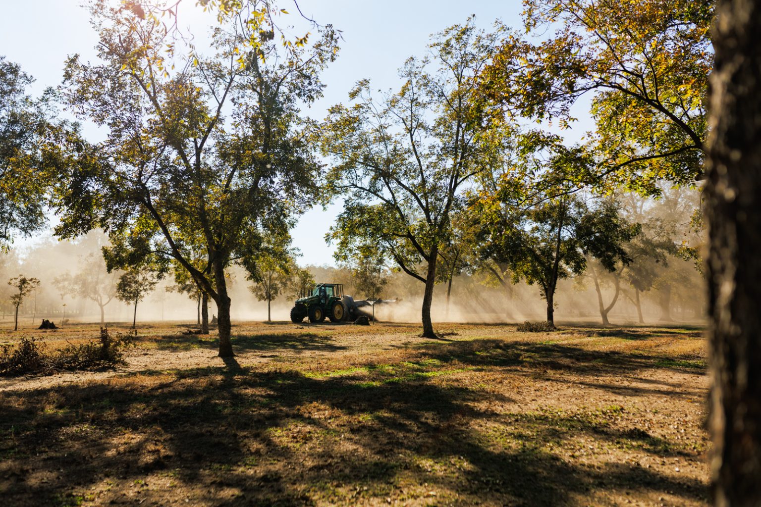 Pecan Farmland in Georgia | Graham Pecan Farm for Sale